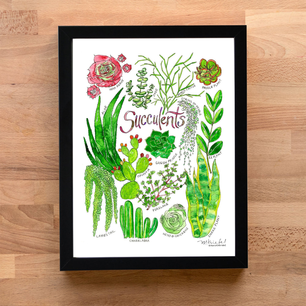 TypesofSucculentsBlackWoodFrameWoodBackground_1200x1200.jpg?v=1713803004