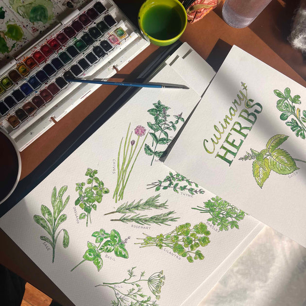 culinary_herbs_WIP_2_455e7487-8ea4-4778-83e6-be1d65ac9388_1200x630.jpg ...