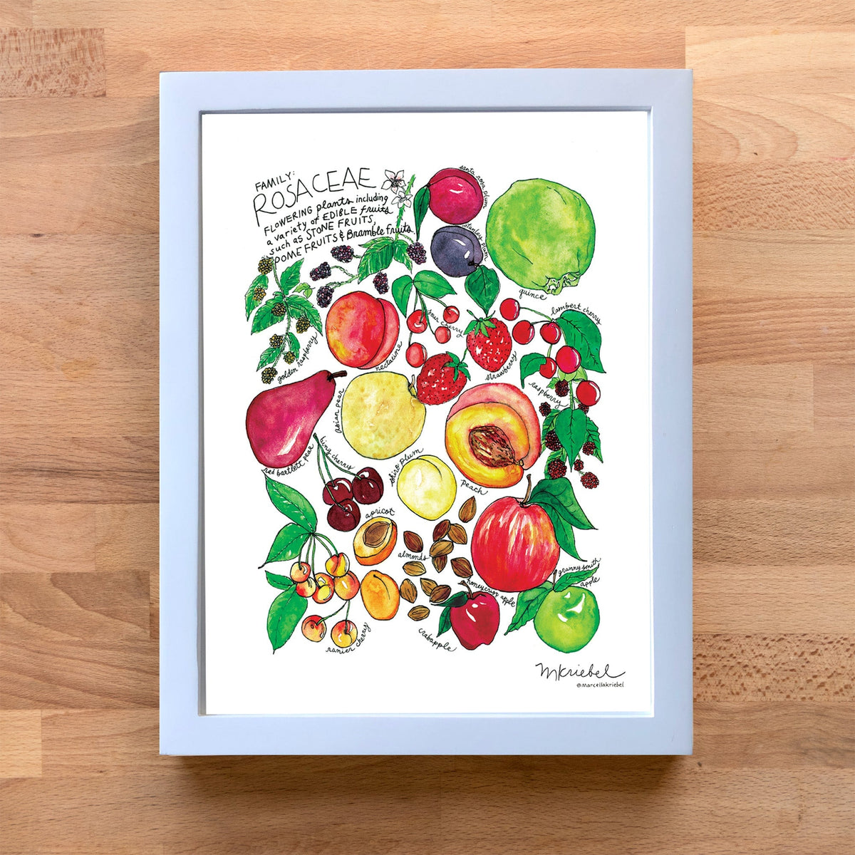 Rosaceaewhitewoodframeweb_1200x1200.jpg?v=1698399285