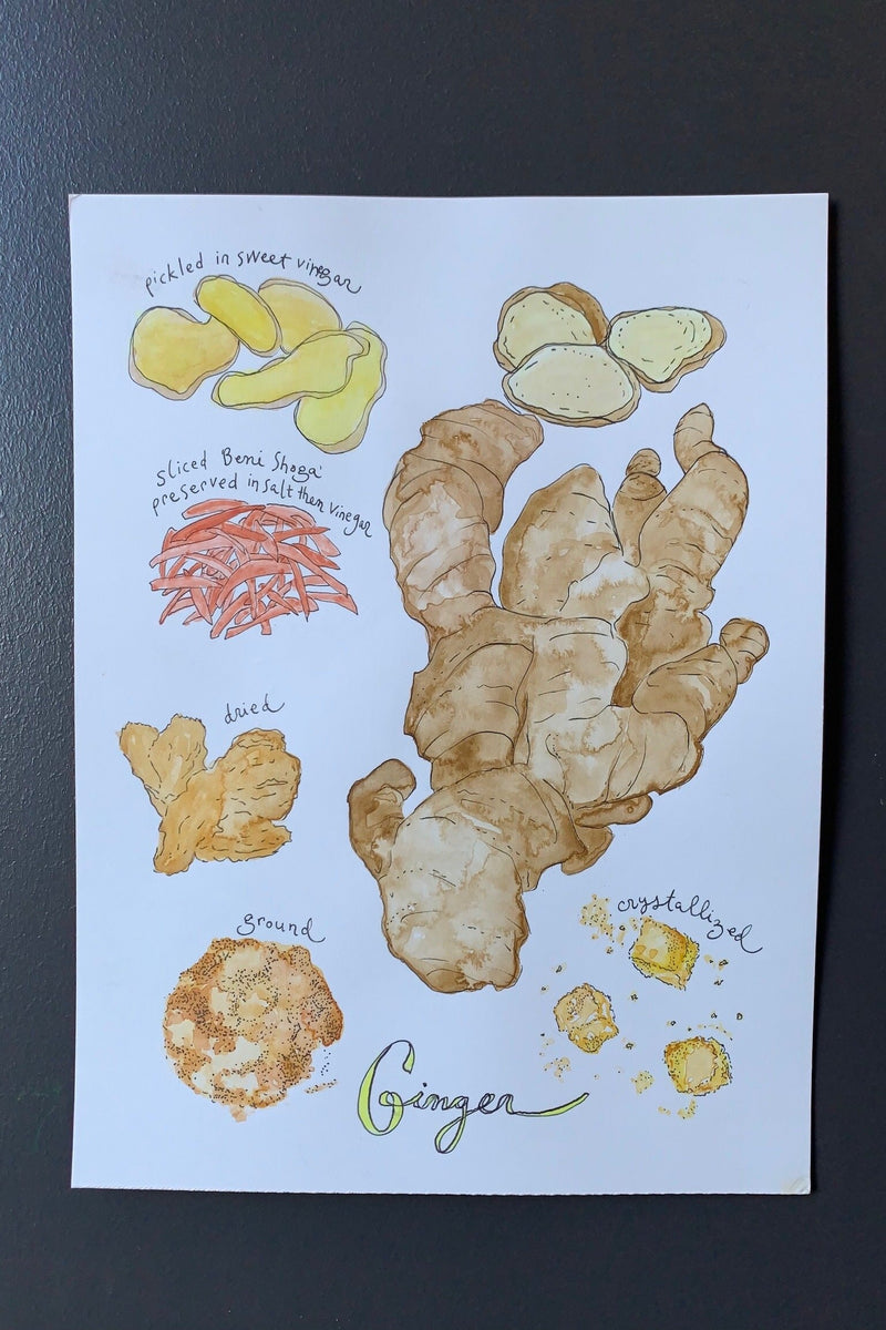 AFCB7092-03FA-41C7-BE97-DA781BCFB8AC_1200x1200.jpg?v=1674341867