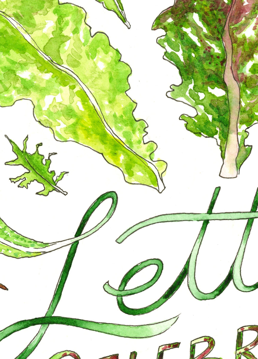 LettuceCelebratewebdetail_1200x1200.jpg?v=1678756881