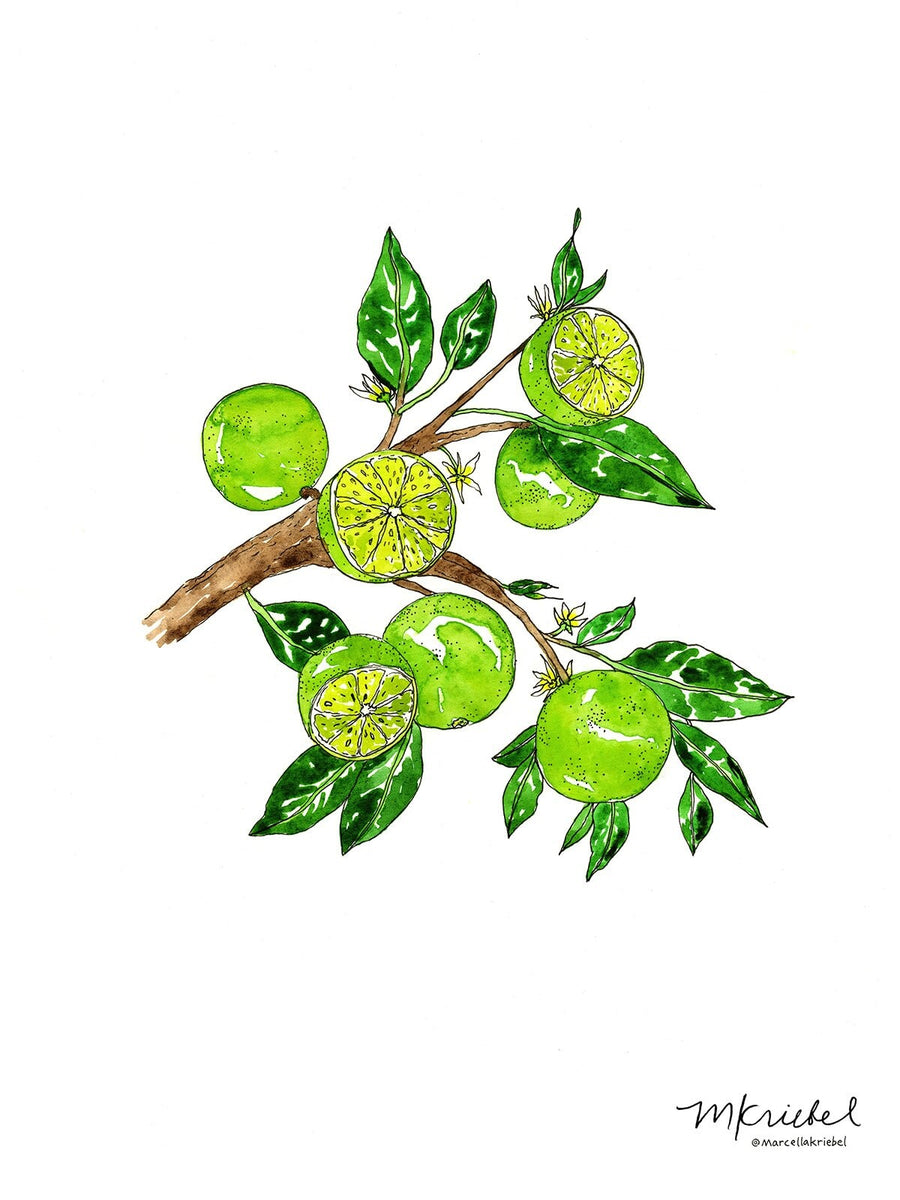 Lime_Key_Lime_300_dpi_9x12_web_1200x1200.jpg?v=1674336122