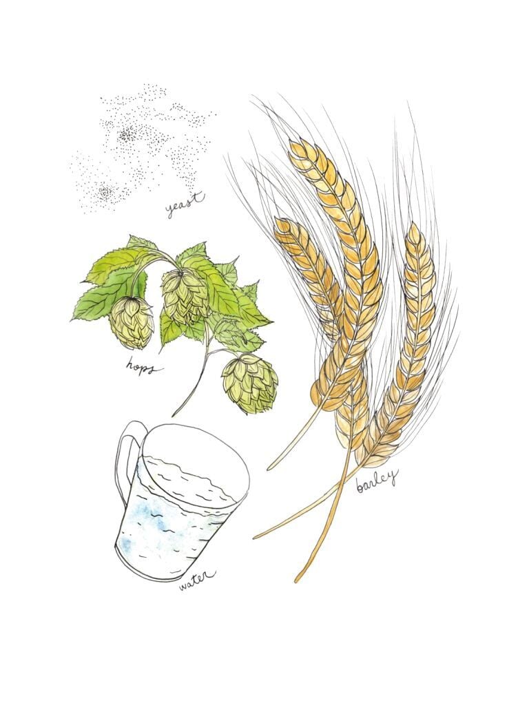 beer-essentials-watercolor-print-art-marcella-kriebel-illustration_477 ...