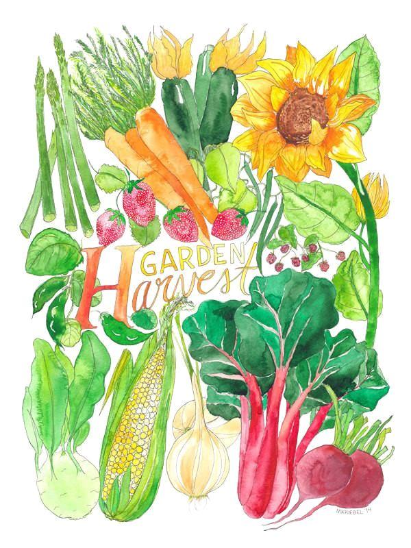 garden-harvest-watercolor-art-print-marcella-kriebel-illustration_749 ...