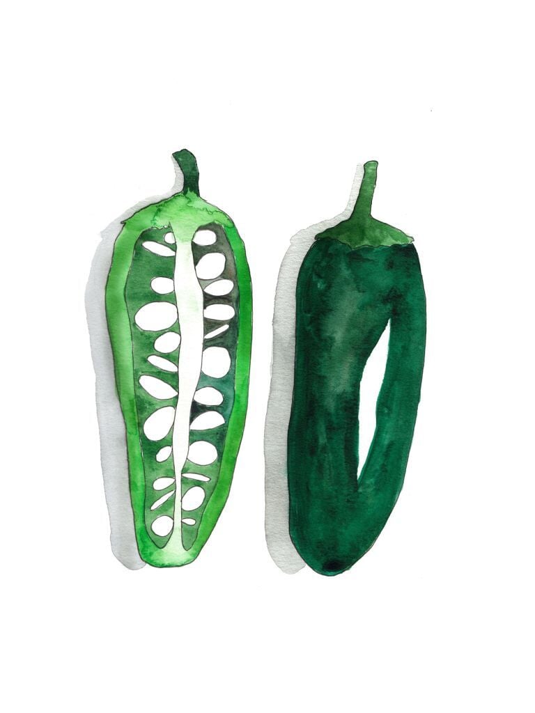 jalapeno-watercolor-art-print-marcella-kriebel-illustration_861 ...