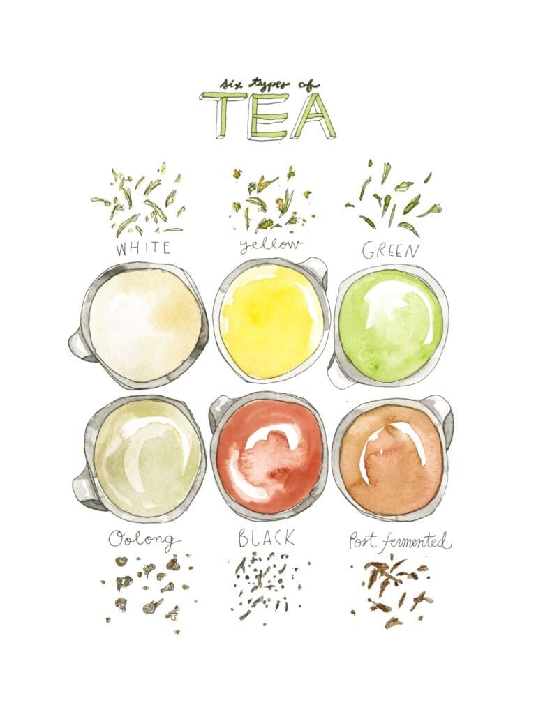 six-types-of-tea-watercolor-art-print-marcella-kriebel-illustration_810 ...